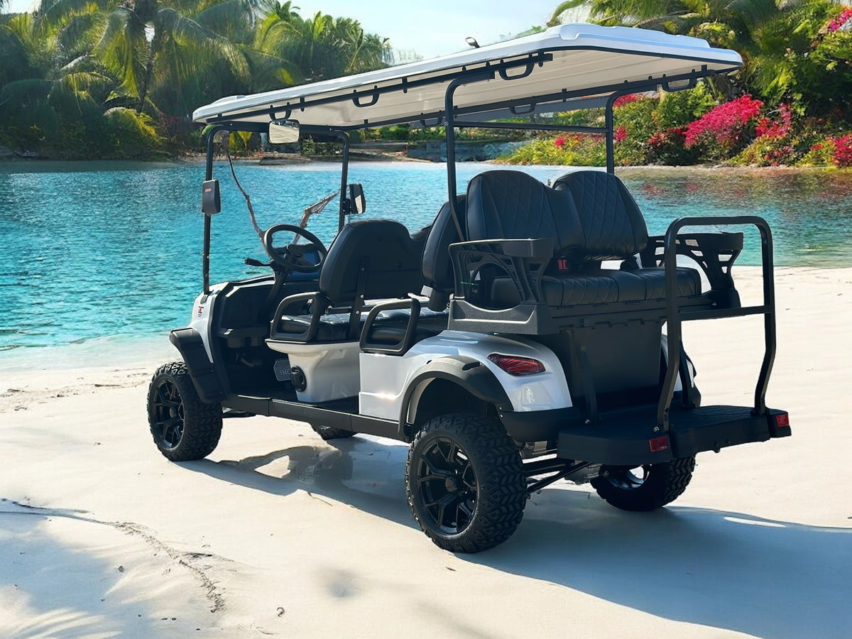 Dynamic GT6 Limo Lithium Powered Golf Cart – Dynamic Carts
