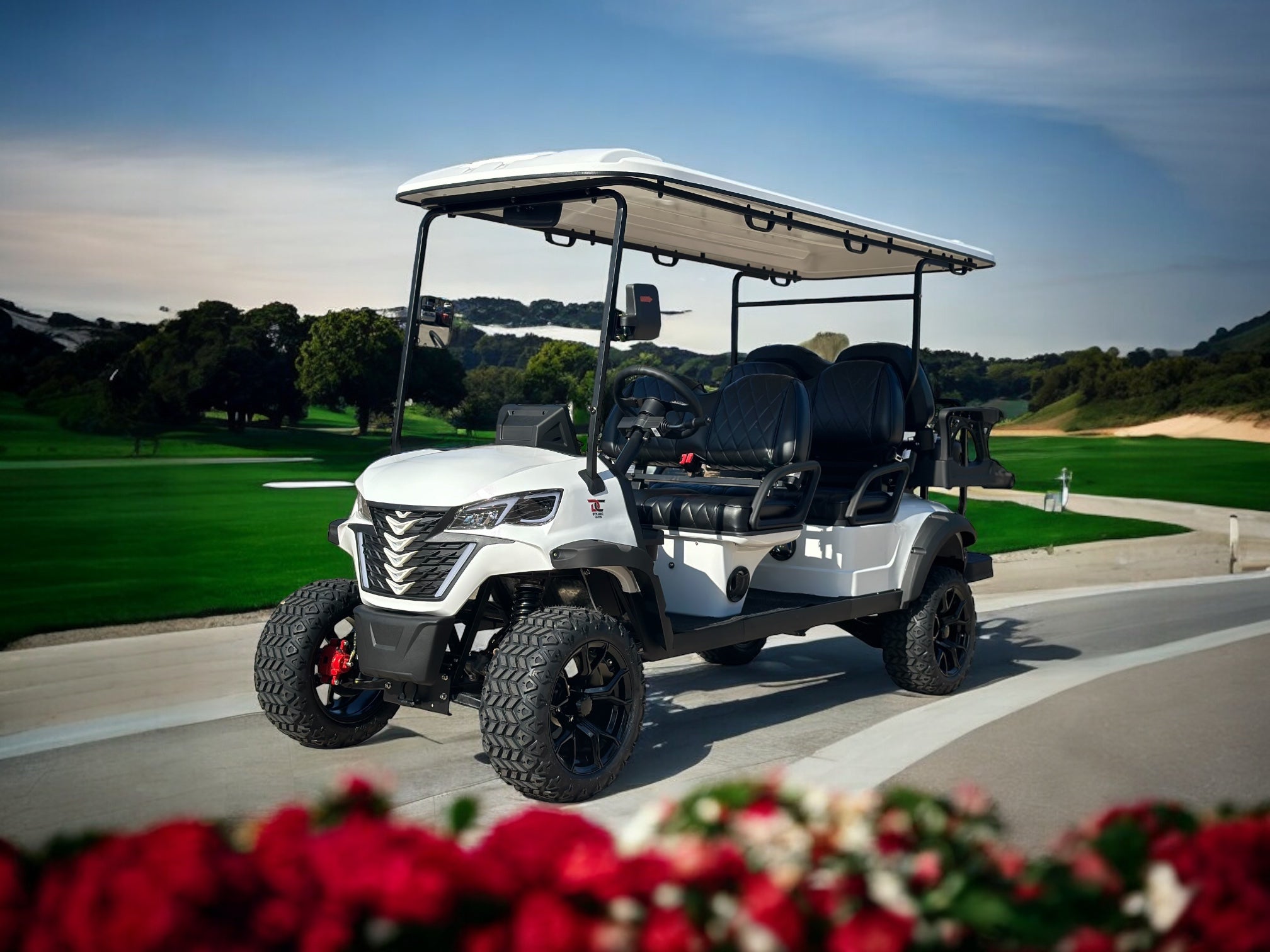 Dynamic Carts-Golf Cart, Custom carts – Dynamic Carts